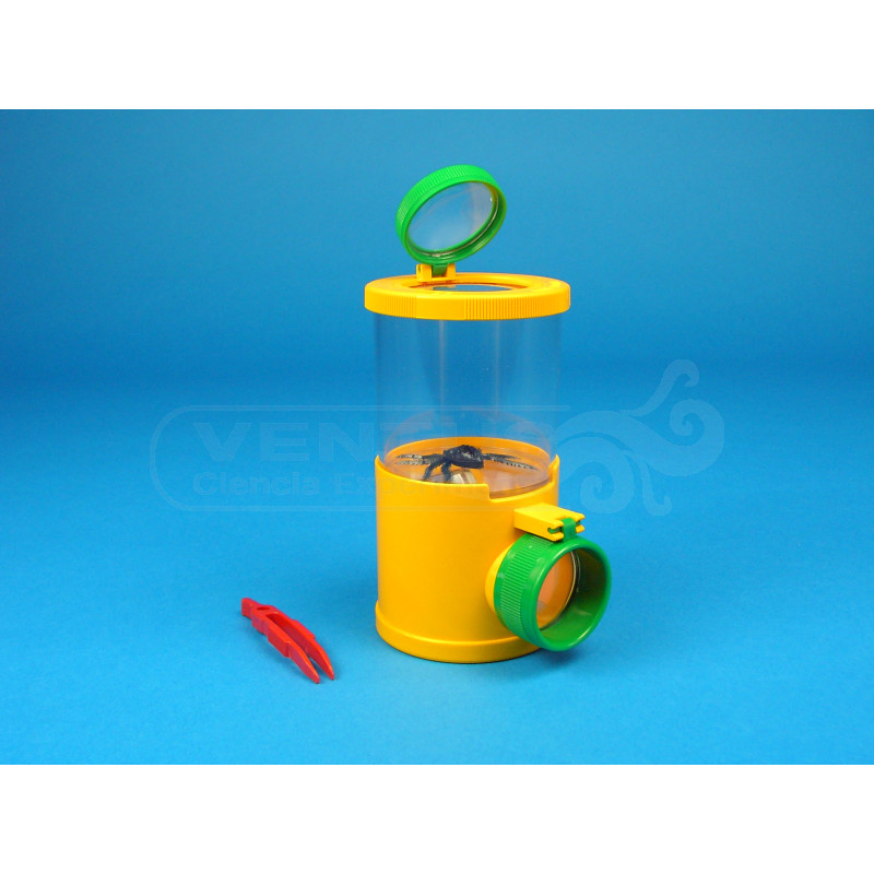 Visualizador de insectos